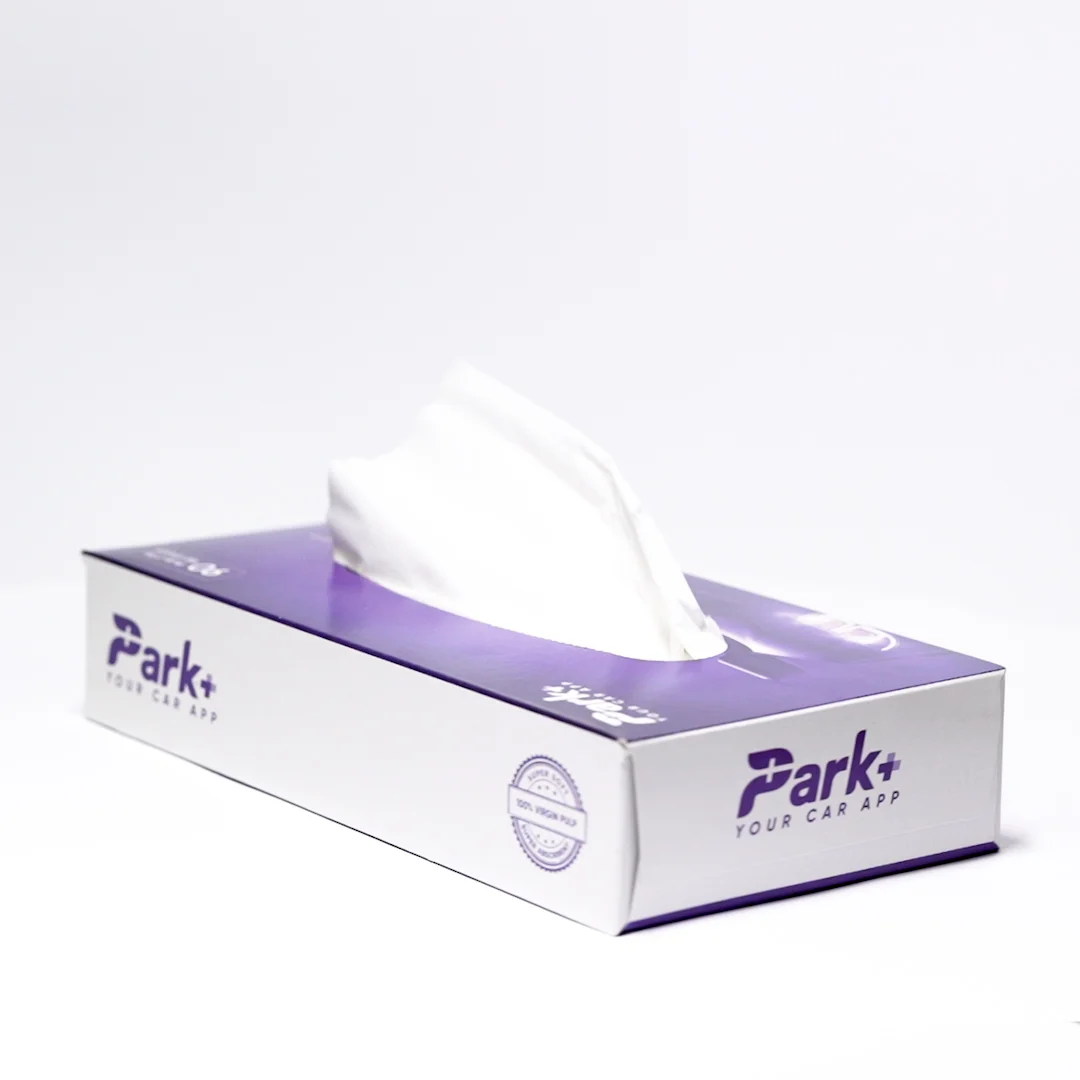 Car Tissue Box